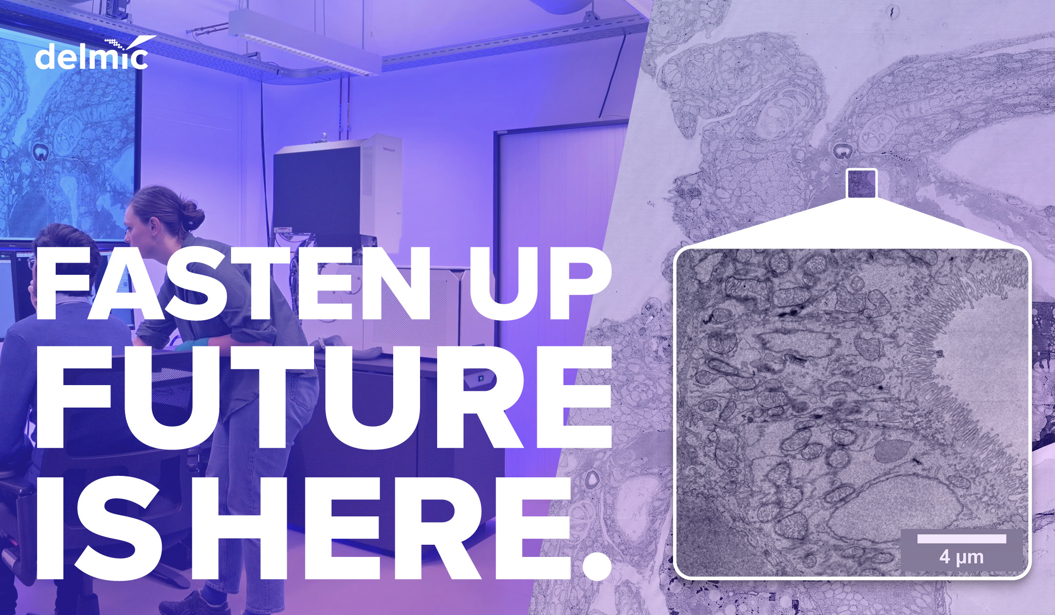 What Are The Main 3D Electron Microscopy Techniques?